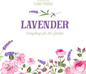 Lavender Vector Images (over 16,000)