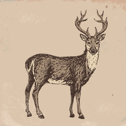 Reindeer Vector Images (over 73,000)