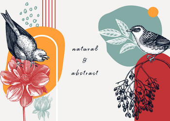 Collage style doves background hand-drawn birds Vector Image