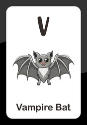 Bat Flashcard Vector Images (77)