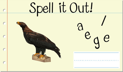 Eagle Flashcard Vector Images (24)