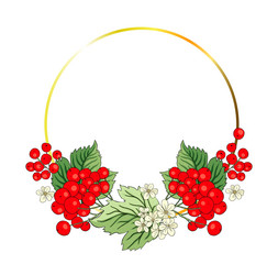 Viburnum rowan circle round red berry frame Vector Image