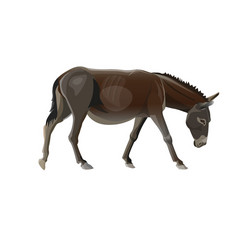 Mule Head Silhouette Vector Images (over 210)