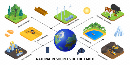 Natural resources flowchart Royalty Free Vector Image