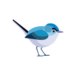 Songbird Vector Images (over 4,800)