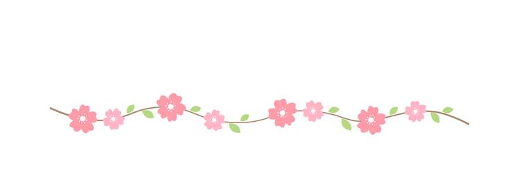 Blossom Cherry Dividers Vector Images (64)