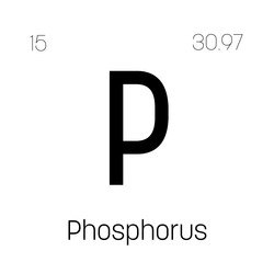 Phosphorus p periodic table element Royalty Free Vector