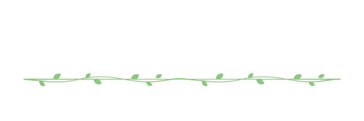 Cute spring floral divider borders springtime Vector Image Cute spring floral divider borders springtime Vector Image