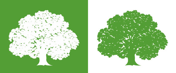 Oak Leaf Vector Images (over 46,000)