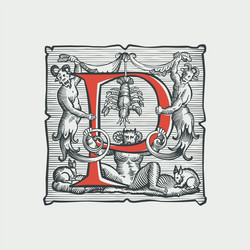 Gothic n letter logo medieval dropcap devil Vector Image