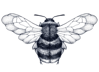 Bee tattoo dotwork symbol diligence Royalty Free Vector