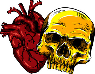 Human skull with heart design Royalty Free Vector Image