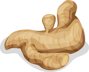 Ginger Cartoon Vector Images (over 14,000)