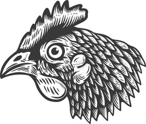 Chicken head in hand drawn symbolic style Vector Image