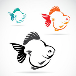 Fish group Royalty Free Vector Image - VectorStock