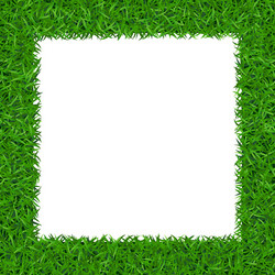 Green grass border frame on transparent Royalty Free Vector