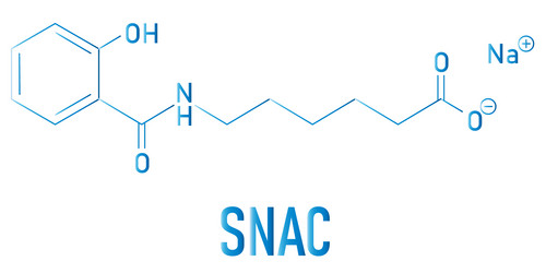 Sodium salcaprozate snac skeletal formula Vector Image