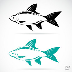 Flying fish Royalty Free Vector Image - VectorStock