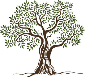 Olive Tree Vector Images (over 130,000)
