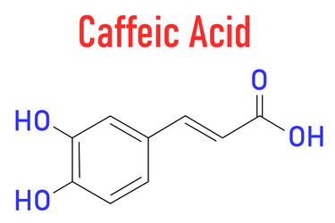 Caffeic acid molecule skeletal chemical formula Vector Image