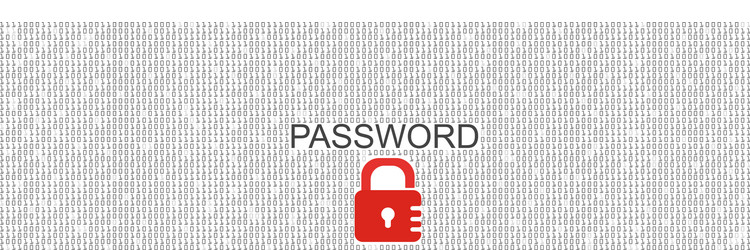 Computer science is a binary number system Vector Image