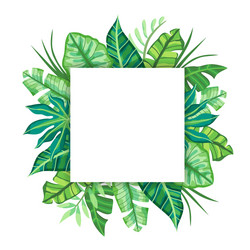 Tropical palm leaves banner Royalty Free Vector Image