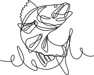 Walleye yellow pike or pickerel side view Vector Image