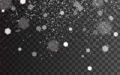 Snow blizzard effect on transparent background Vector Image