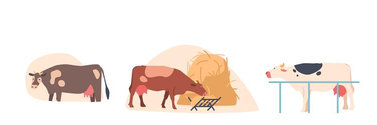 Cow Paddock Cartoons Vector Images (35)