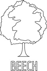 Logo Leaf Beech Vector Images (over 110)