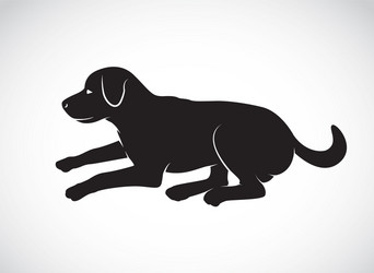 Labrador Vector Images (over 9,900)