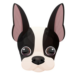 Boston terrier face puppy head portrait Royalty Free Vector