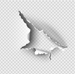 Torn Ripped Paper Hole Vector Images (over 2,600)