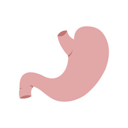 Human Stomach Vector Images (over 18,000)