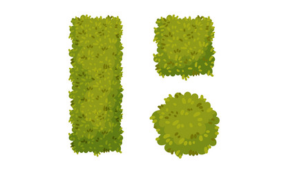 Shrubs Plan View Vector Images (86)