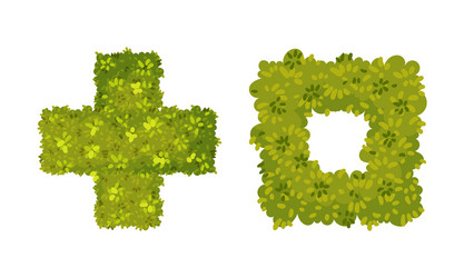 Shrubs Plan View Vector Images (86)