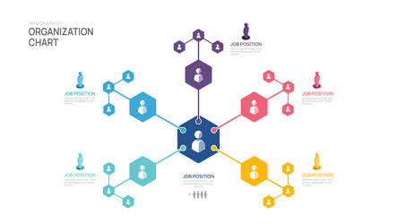 Organization chart infographic template Royalty Free Vector