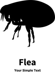 Fleas Vector Images (over 6,100)