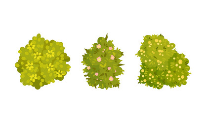 Shrubs Plan View Vector Images (86)