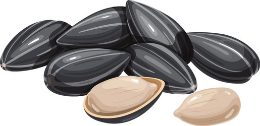 Sunflower Seeds Cartoon Vector Images (over 1,900)