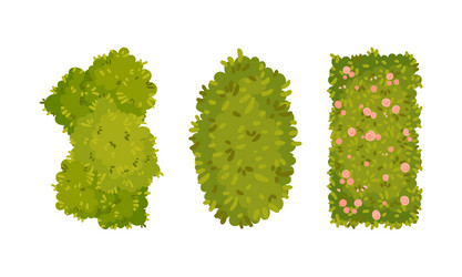 Shrubs Plan View Vector Images (86)