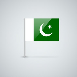 Rounded rectangle flag of pakistan Royalty Free Vector Image