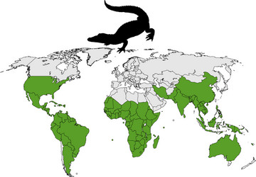 Range Vector Images (over 38,000)