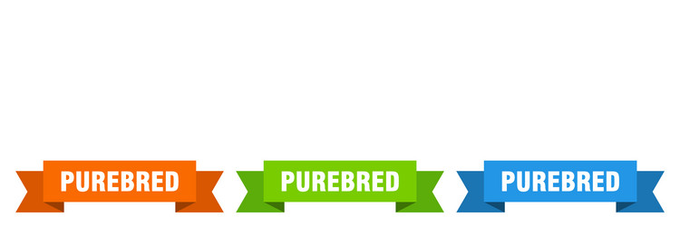 Gaming ribbon isolated band sign Royalty Free Vector Image