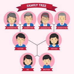 Hand drawn family tree diagram Royalty Free Vector Image