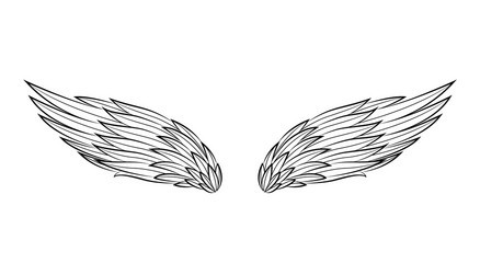 Falcon Doodle Vector Images (over 690)