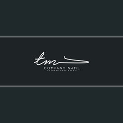 Tm handwritten signature logo - template Vector Image