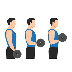 Man doing barbell drag bicep curls exercise 21 Vector Image