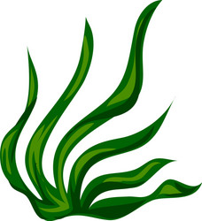Algae Cartoon Vector Images (over 11,000)