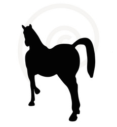 Workhorse Vector Images (over 130)